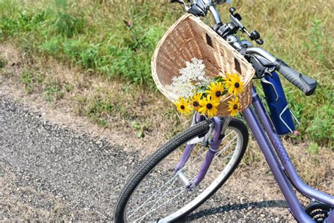 Womans Bike With Basket Of Flowers On Handlebars Stock Image Image Of