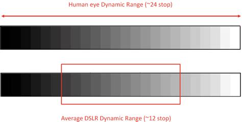 What Is Dynamic Range In Photography — Exposure Essentials