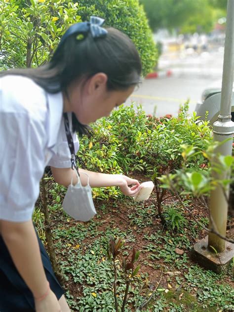 โครงการครอบครั ศูนย์ครอบครัวพอเพียง โรงเรียนสภาราชินีตรัง
