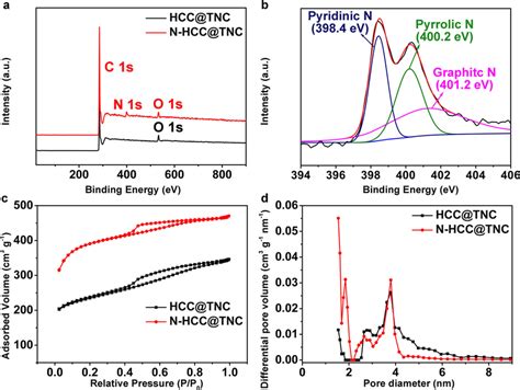 A XPS Spectra Of HCC TNC And NHCC TNC B N 1s XPS Spectra Of Download Scientific Diagram