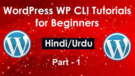 Wordpress Wp Cli Tutorials For Beginners Part 1 Hindiurdu Youtube
