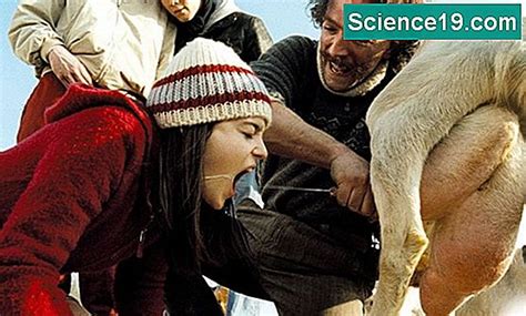 Egy Tipikus Sejtciklus Szakaszai 💫 Tudományos És Népszerű Multimédiás