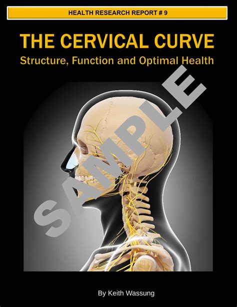 Pdf The Cervical Curve Structure Function And Health Dokumen Tips