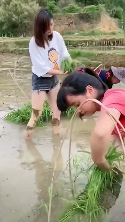 农村妇女犹如勤劳的小蜜蜂，忙碌于田间地头，默默无闻地付出着辛勤的汗水。简单快乐的农村人 农村姑娘 平淡自愈乡村生活