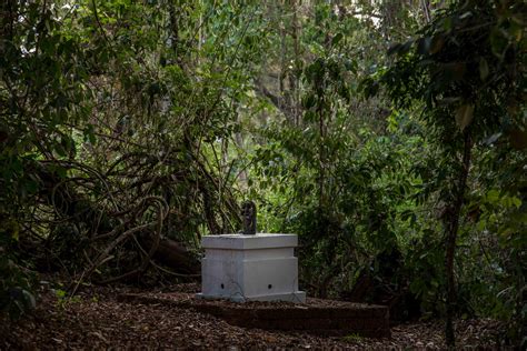 Spirit Of The Sacred Groves Thira Of Northern Kerala Sahapedia