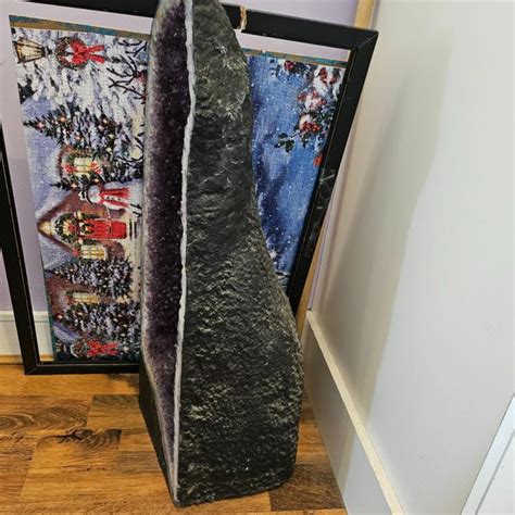 Cockapoo F1b Puppies Exercise And Wellbeing Services Ads For Sale In