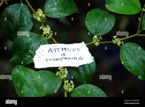 Attitude Is Everything Hand Holding Torn Paper Motivational Slogan