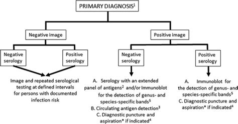 Echinococcus Serology