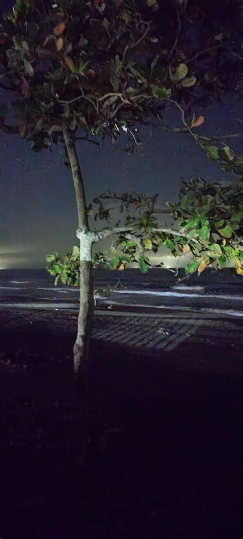 Gusto Ko Na Ulit Mag Beach Rcasualph