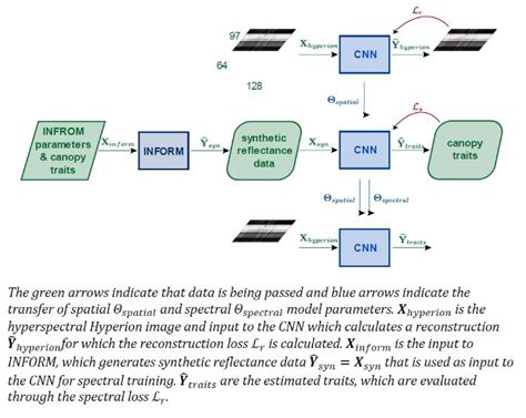 Estimating Canopy Traits From Hyperspectral Satellite Data Using Convolutional Neural Networks