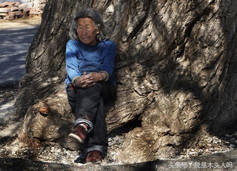 那山 那花 那人 遼西原生態紀實 每日頭條