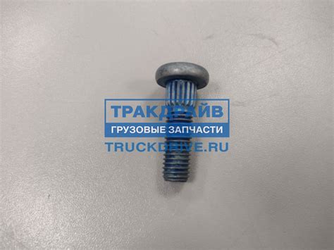 Болт шлицевой Schmitz М10 х 35 мм 820912 SCHMITZ купить недорого
