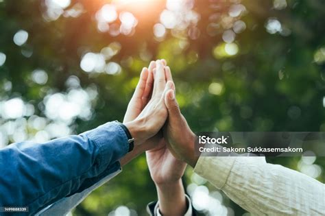 하이파이브 팀워크는 함께하는 팀입니다 단결 개념 자연 환경 다양한 국적의 사람들의 그룹 비즈니스 팀 성공 개념 희망에 대한 스톡 사진 및 기타 이미지 Istock