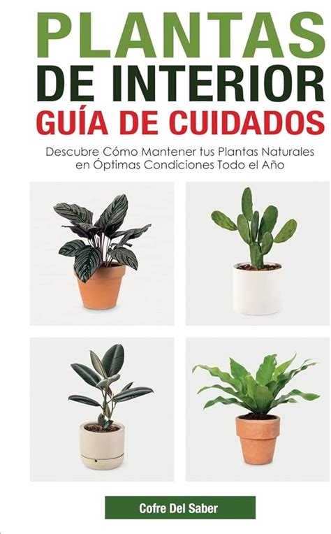 Guía completa de cuidados para tus plantas de interior Tu Selva En Casa
