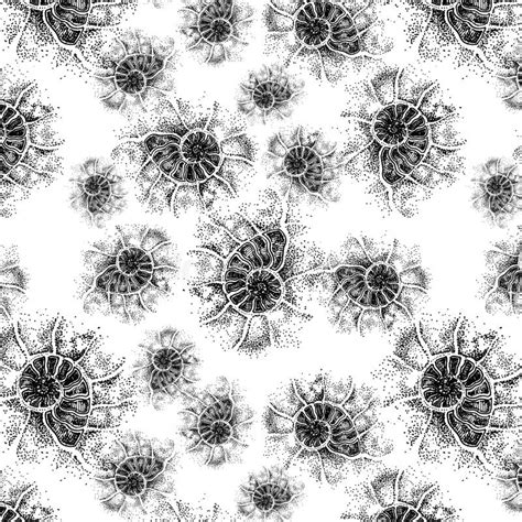Image Of Ammonite Shell On The Sand Graphic Handwork Seamless Pattern