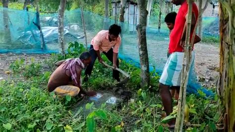 Malda ১০০ দিনের কাজে ১০ কোটির দুর্নীতির অভিযোগ দায়ের জনস্বার্থ মামলা