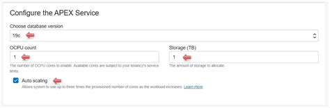Paso 01 Crear Una Instancia De APEX En El Nuevo Servicio Oracle APEX