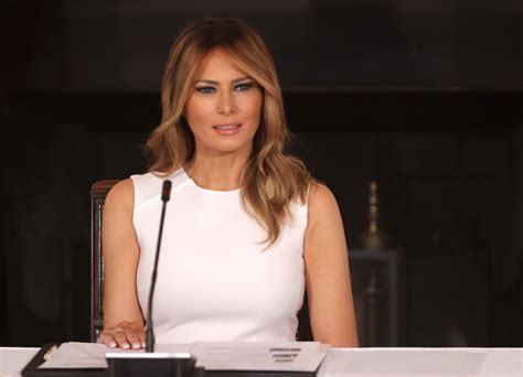 A Republican Lawmaker Accused Russia Of Airing Nude Melania Trump