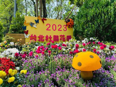 眼睛戀愛了！台北杜鵑花季粉爆大安森林公園 臺北旅遊網