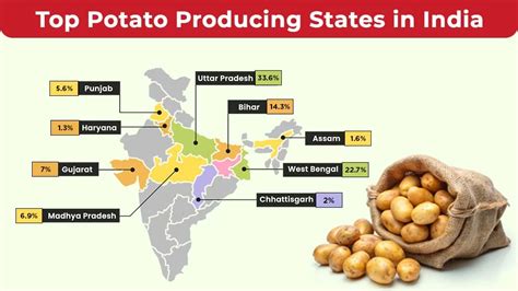 Top 10 Potato Producing States In India