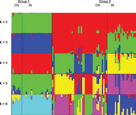 Figure 6 From Evidence From Genome Wide Simple Sequence Repeat Markers