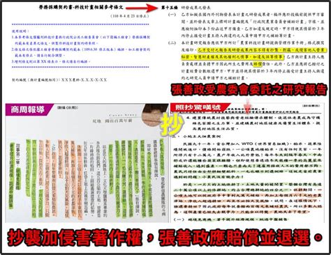 他喊張善政應賠償並退選 原因一張圖就看懂 政治 三立新聞網 Setncom