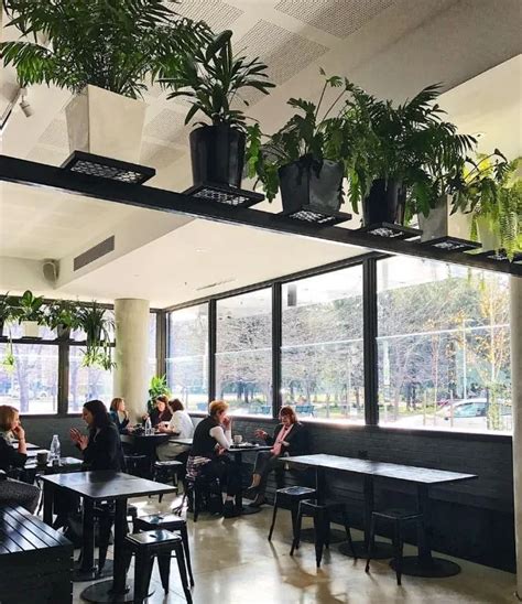 Accessible Restaurant Cafe In National Circuit Ritual Cafe Wheeleasy