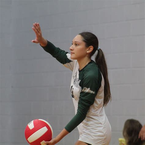 Gonzalez Cole Bring Miss Volleyball Honors To Desoto County Desoto County News