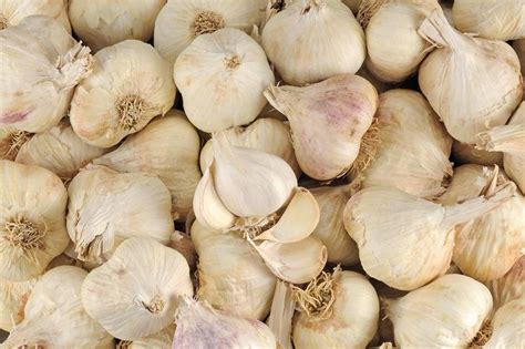 Lail Blanc Filet 500g Mon Marché