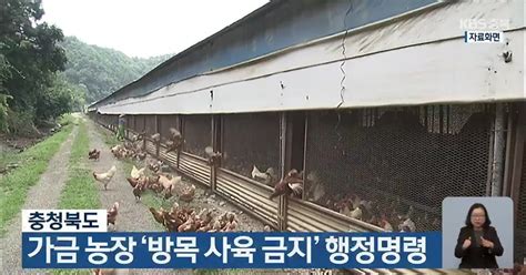 충청북도 가금 농장 ‘방목 사육 금지 행정명령