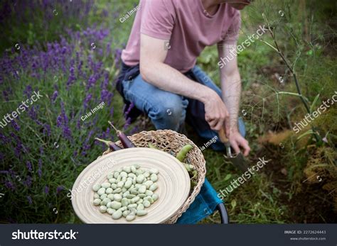 46 234 Man Digging Images Stock Photos Vectors Shutterstock