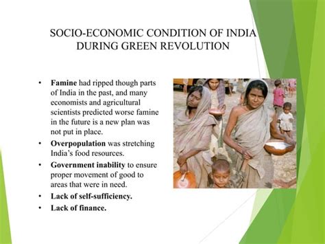 Green Revolution In India Pptx