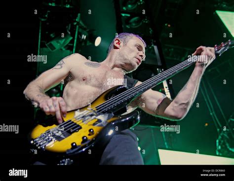 Michael Balzary Aka Flea Of The Red Hot Chili Peppers Performing At