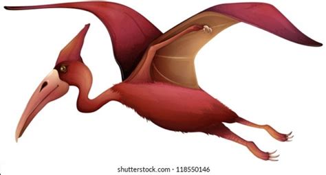Illustration Flying Pterosaur Stock Vector Royalty Free 118550146