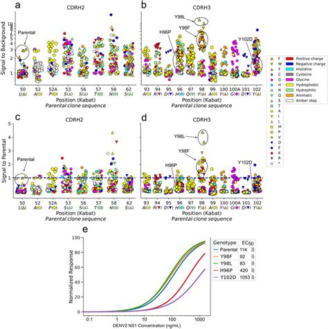 Genotyped Functional Screening Enables In Depth Analysis Of Mutation
