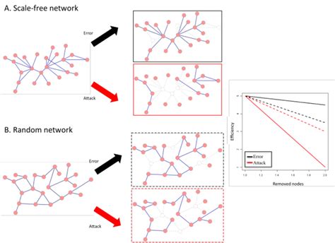 Effect Of Node Removal Through Error And Attack In Scale Free A