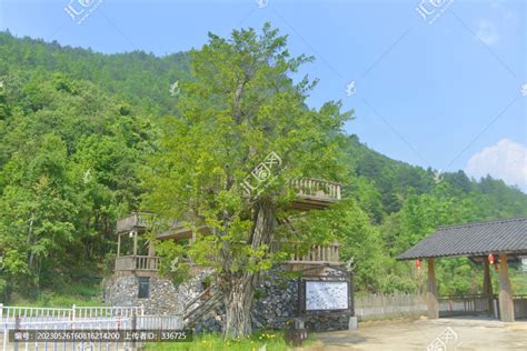Huitu