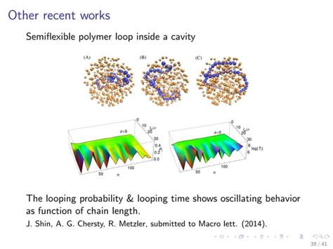 Polymer Looping Effects Of Macromolecular Crowding And External