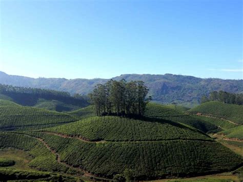 Ksrtc Munnar Double Decker Bus Royal View Route Timings And Booking
