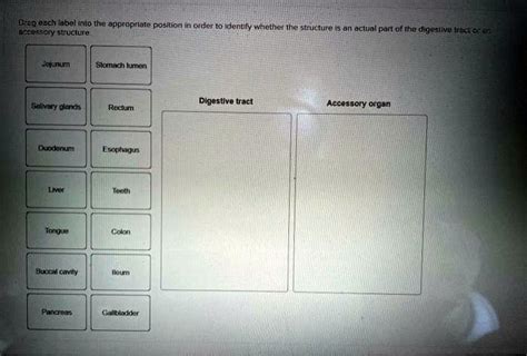 drag each label into the appropriate position in order to identify
