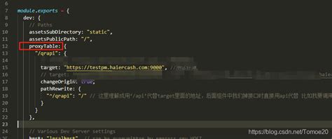vue3设置proxy代理解决跨域问题 vue js 脚本之家