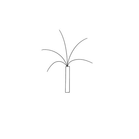How To Draw A Realistic Palm Tree