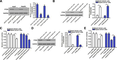 Effect Of Pten On Regulating The Cisplatin Sensitivity Of Cd133 And