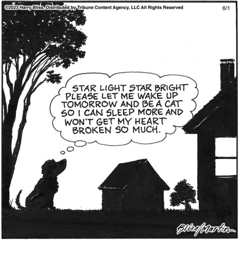 Star Light Star Bright…