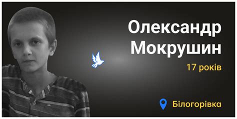 17 річний юнак загинув від російських бомб на Луганщині