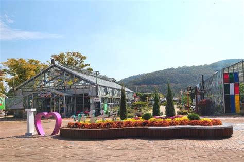 경주 버드파크 보문단지 아이와 가볼만한곳 네이버 블로그