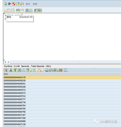 SPA软件SE16N实现类似PL SQL查询表功能 腾讯云开发者社区 腾讯云