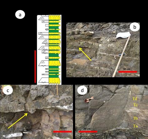 A Vertical Succession Of A Crevasse Splay Facies Association At Download Scientific Diagram