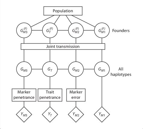 The Genotypic Structure Of Genetic Linkage Data The Population Model