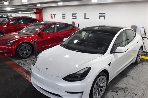 Elon Musks Sister Tosca Ive Been Overcharged Because Of My Last Name